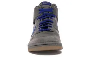 Nike Dunk High Pro "iron" Sneakers - Grey