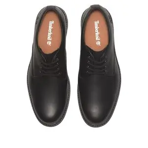 Timberland Stormbucks Waterproof Lace Up Derby Shoes