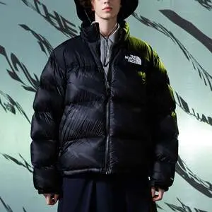 The North Face Down Parka Jacket