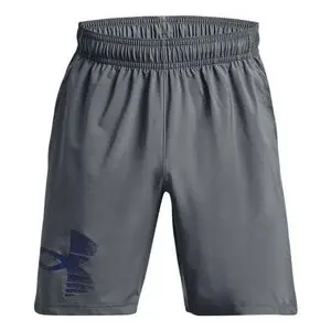 Under Armour Tech Mesh Shorts - Grey