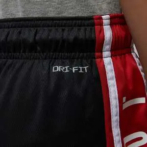 JORDAN Dri-fit Shorts