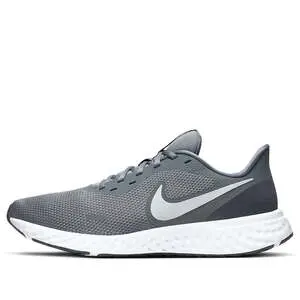 Nike Revolution 5 Low Top Sneakers - Grey