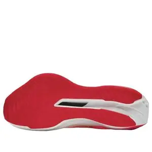 ANTA C202 7.0 'year Of The Horse' Sneakers - Red/white