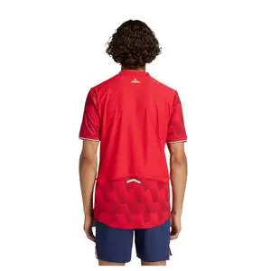 NEW BALANCE Lille Losc Elite Jersey 'home
