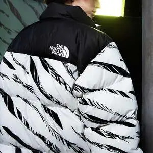 The North Face Nuptse Down Parka 700