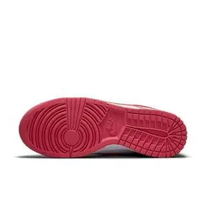 Nike Dunk Low Sneakers