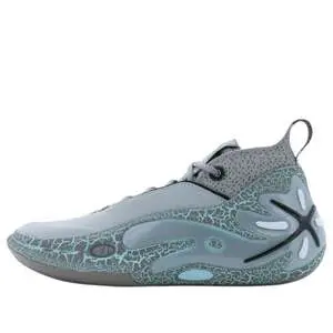 LI-NING Way Of Wade Abau049-20 - Grey/blue