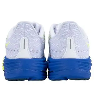 Mizuno Wave Rider 29 - White/blue