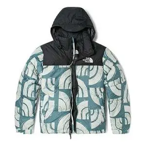 The North Face THE NORTH FACE 1996 Retro Nuptse 700 Puffer Jacket None