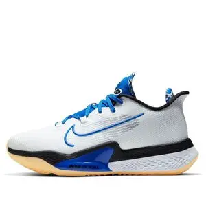 Nike Zoom Bb Nxt "sisterhood" High Top Sneakers - White/blue