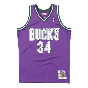 Mitchell & Ness Milwaukee Bucks Ray Allen 2000-01 Authentic Jersey