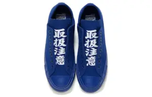 CONVERSE Chuck Taylor All Star 100 Slip On Ox