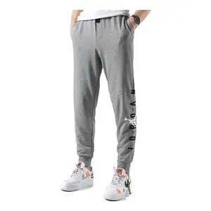 JORDAN Air Jordan Big Logo Basketball Pants 'grey' Grey