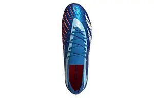 Adidas Predator Accuracy.1 Low Hg Ag Football Boots - Blue