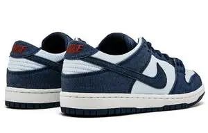 Nike Zoom Dunk Low Pro "binary
