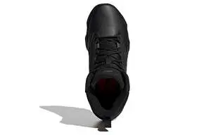 Adidas Terrex Unity Leather Mid Cold.rdy Boots