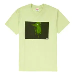 Supreme Fw18 Chris Cunningham Chihuahua Pale Mint Tee - Green