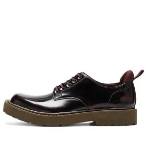 Onitsuka Tiger Derby Lace-up Shoes - Brown/brown