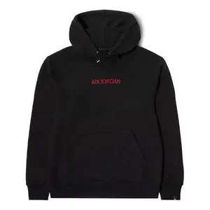 JORDAN Air Logo Embroidered Sports Hoodie