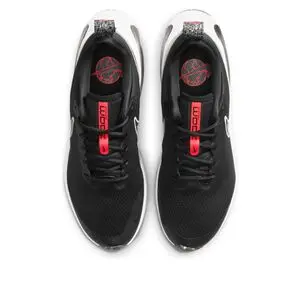Nike Zoom Arcadia Se Low Top Sneakers