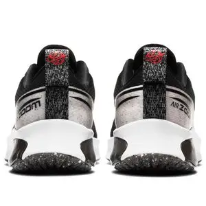 Nike Zoom Arcadia Se Low Top Sneakers