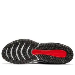 Nike Zoom Arcadia Se Low Top Sneakers