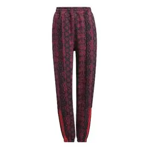 Adidas X Ivy Park Crossover Snake Print Joggers - Default Color