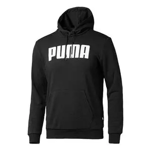 PUMA Colorblock Logo Hoodie