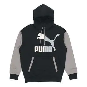PUMA Colorblock Hooded Sports Sweatshirt