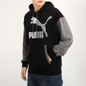 PUMA Colorblock Hooded Sports Sweatshirt