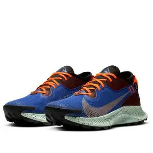 Nike Pegasus Trail 2 Gtx Sneakers - Blue/brown