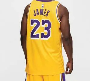 Nike Lebron James Icon Edition Swingman Los Angeles Lakers - Yellow