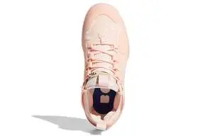 Adidas Harden Vol. 5 "icey