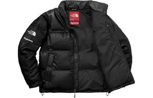 Supreme Fw17 X The North Face Leather Nuptse Jacket