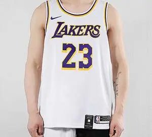 Nike Nba Los Angeles Lakers Lebron James No. 23 Jersey - White