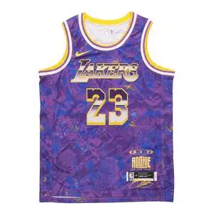 Nike Lebron James Nba Retro Fan Edition Jersey - Purple