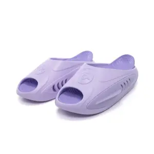 RIGORER Shark 2 Slides