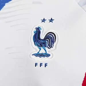 Nike France National Football Team Training Jersey