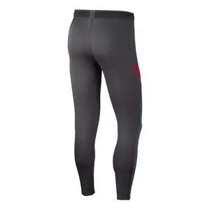 Nike Liverpool 20-21 Vaporknit Strike Pants 'grey