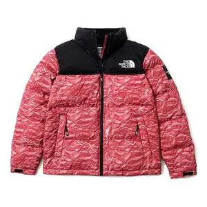 The North Face Novelty Nuptse Down Jacket - None