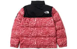 The North Face Novelty Nuptse Down Jacket