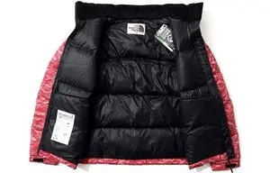The North Face Novelty Nuptse Down Jacket