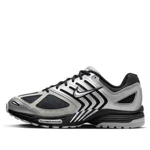 Nike Nike Air Pegasus 2005 Sneakers Metallic Silver/flat Silver/black