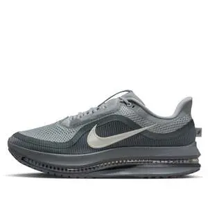 Nike Nike Pegasus Premium Sneakers Wolf Grey/dark Grey