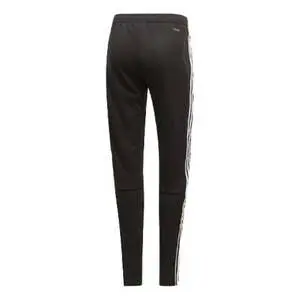 Adidas Tiro 19 Training Pants