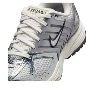 Nike Zoom Pegasus 2005 "chrome - Black