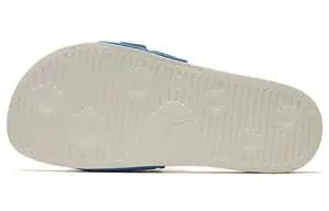 PUMA Leadcat Ftr Wilo Slide Sandals - Blue