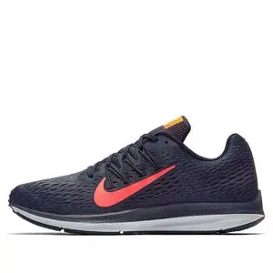 Nike Zoom Winflo 5 Sneakers - Blue/pink