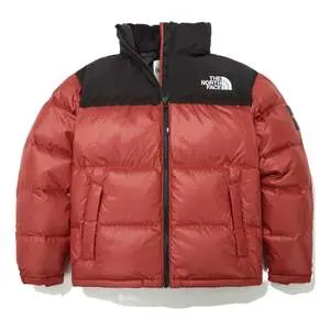 The North Face Fw22 Novelty Nuptse Down Jacket - None