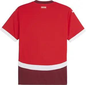 PUMA Switzerland 24 Home Soccer Jersey